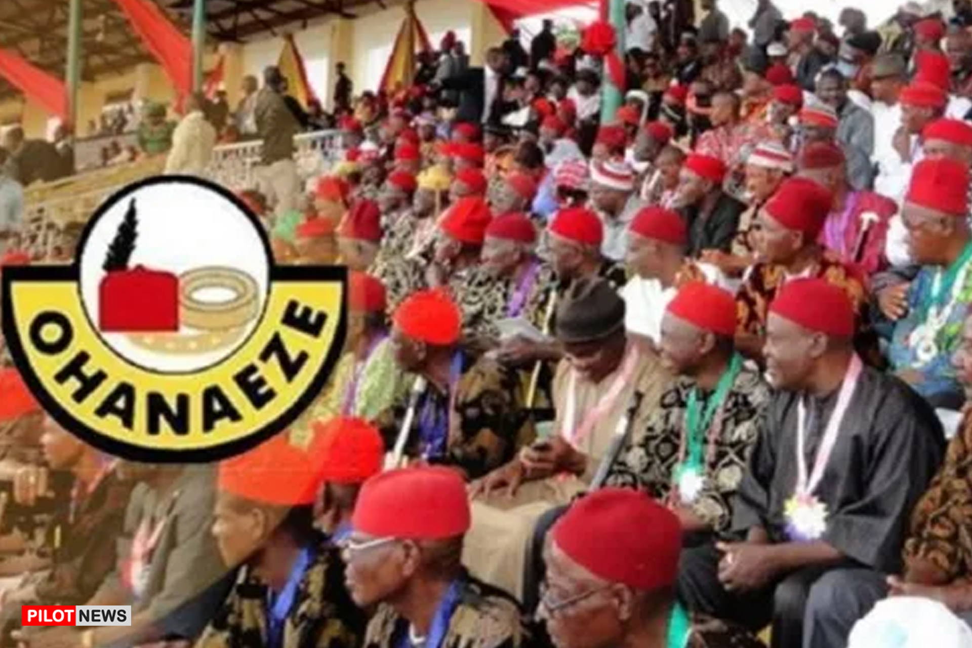Ohanaeze Ndigbo Set Up Special Committee To Protect Igbo Language