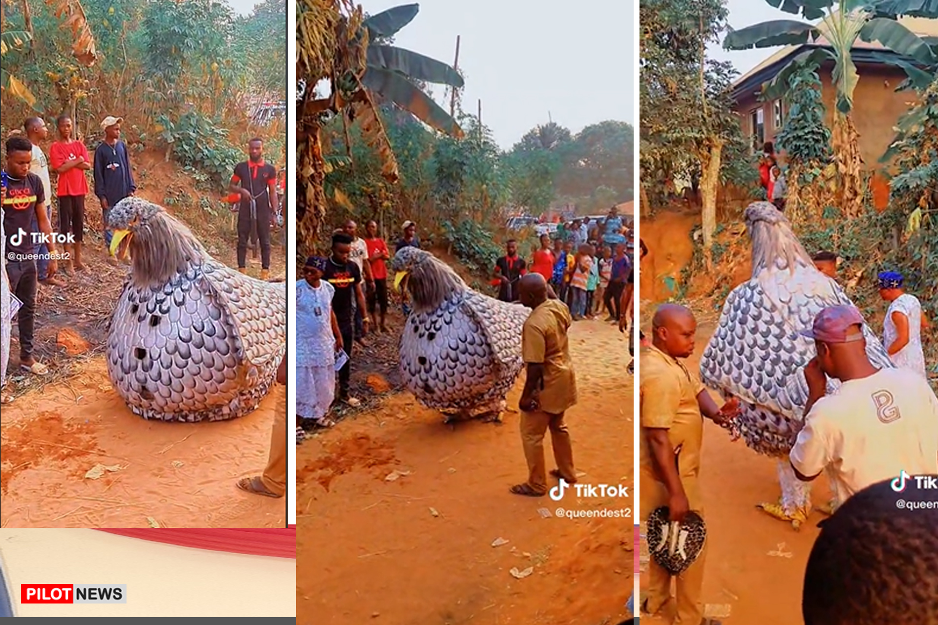 "I Am Proudly Igbo", Nigerians React to a Viral Video of the Eagle ...