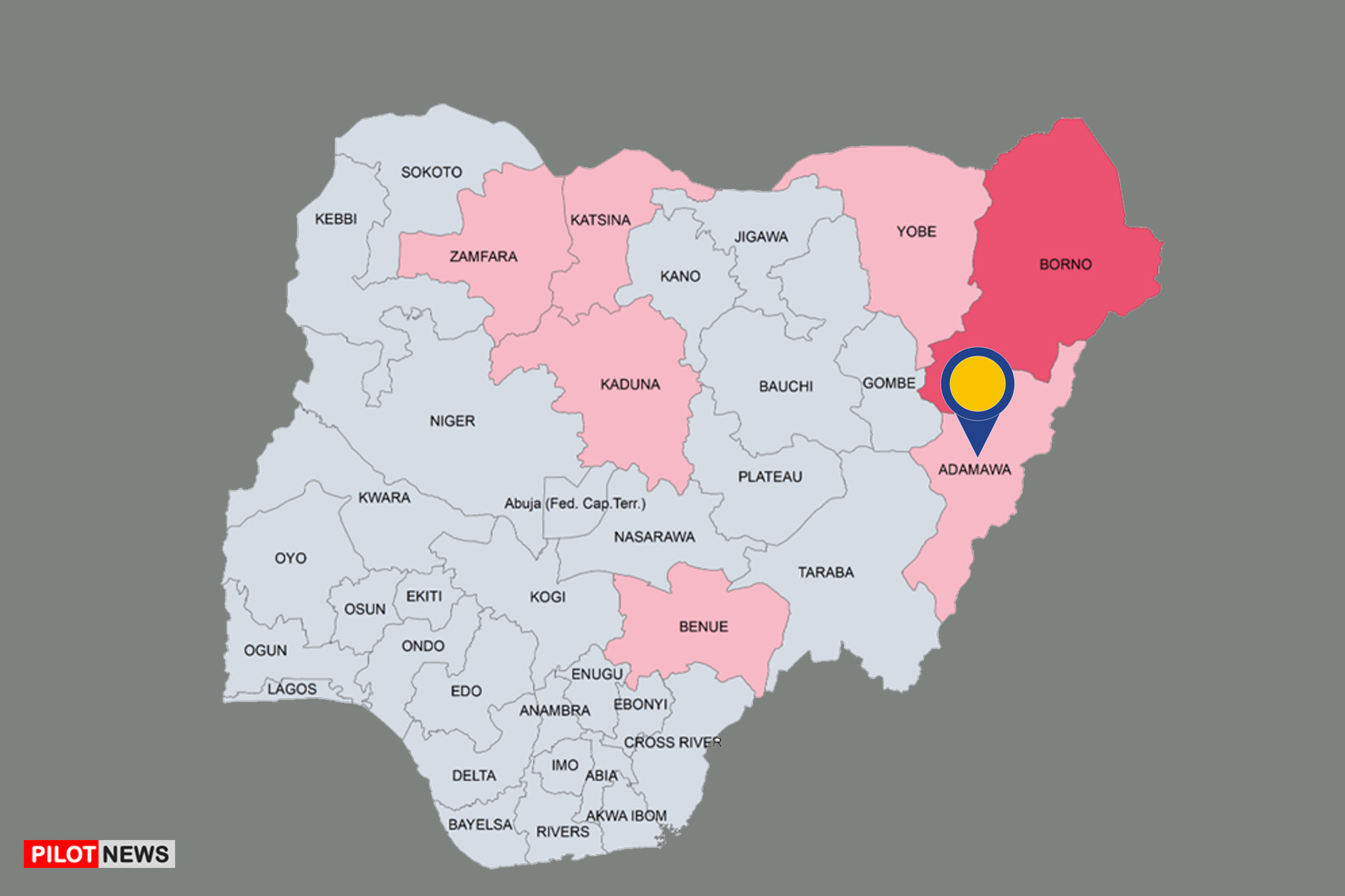 ADHA To Repeal Law, Extend Tenure Of Local Govt Council