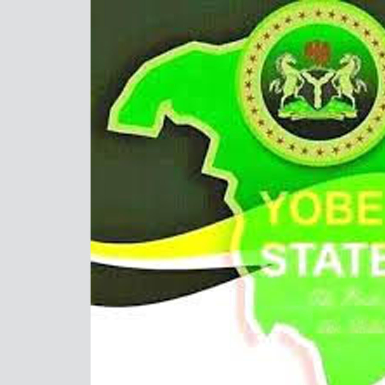 Genotype Bill: Yobe State House of Assembly Adopts Committee's Report