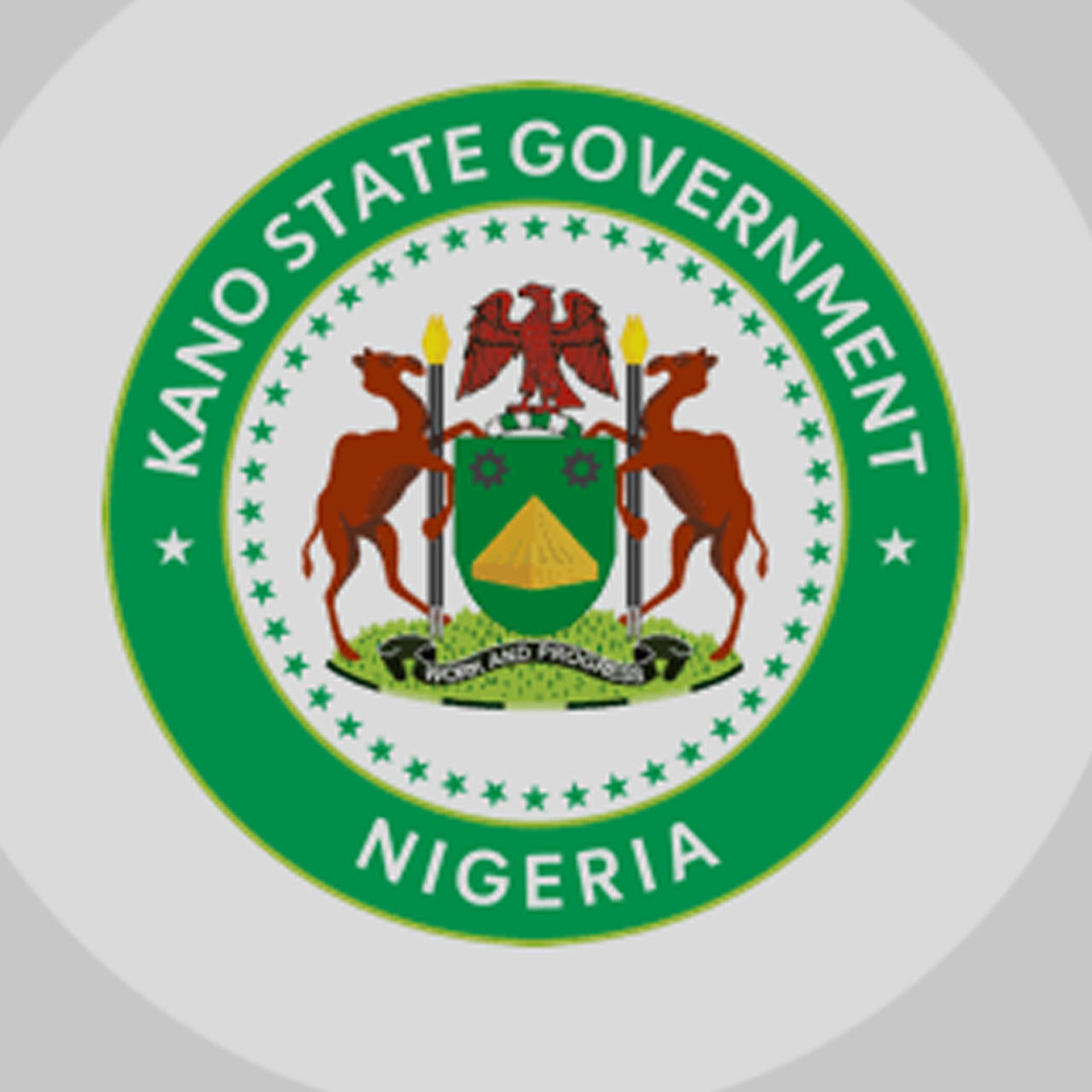 Immoral Dressing: Kano Magistrate Court Remands TikToker In Prison ...