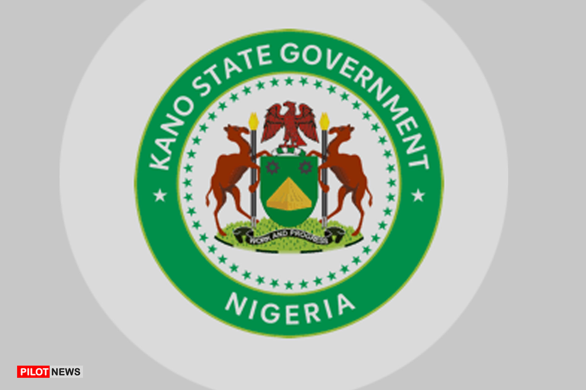 Kano accounts for 30 percent of tuberculosis cases in Nigeria ...