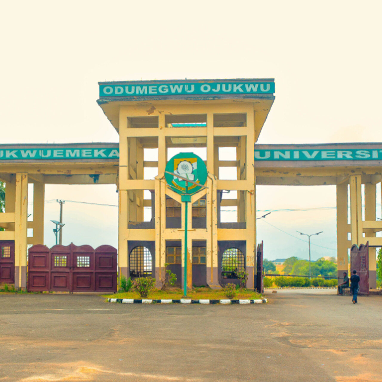 Odumegwu Ojukwu University Commences Diploma Certificate in Herbal ...